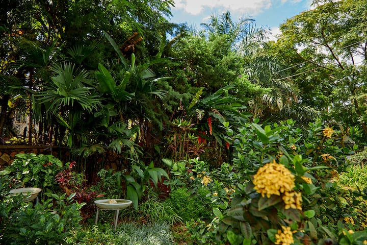 Kololo: Nature's Embrace 2.0 - Kampala