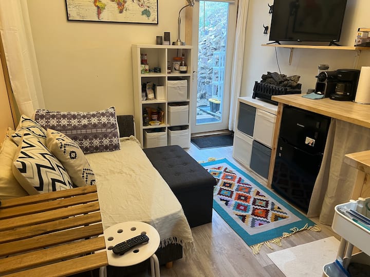 Studio - Cozy, Deck, Quiet, Awesome Location - Idaho Springs, CO