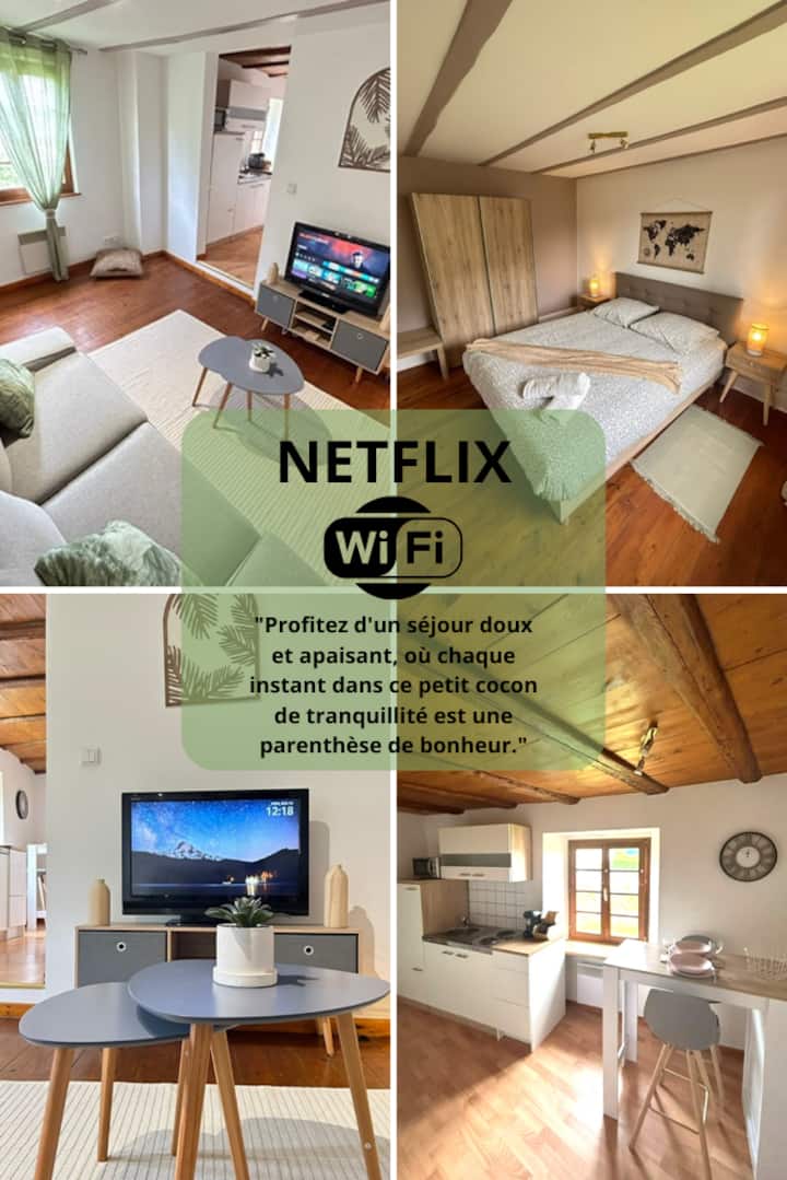 Cocon Du Vignoble Wifi - Netflix - Eguisheim