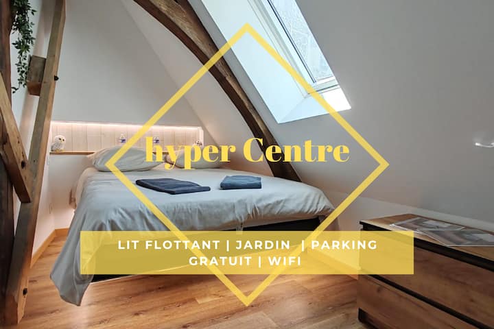 Le Hibou De La Cathédrale | Calme | Jardin | Wifi - Troyes