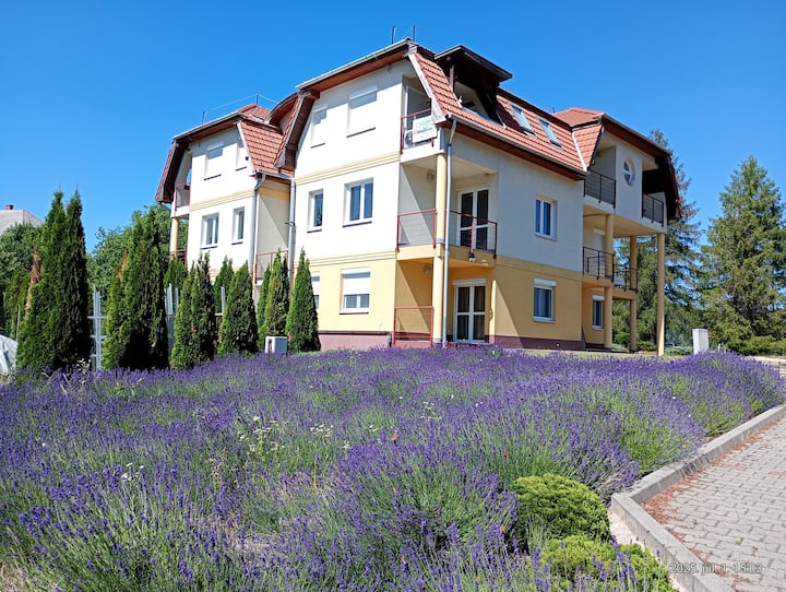 Bükkszentkereszt Oxigén Apartman1 - Bükkszentkereszt