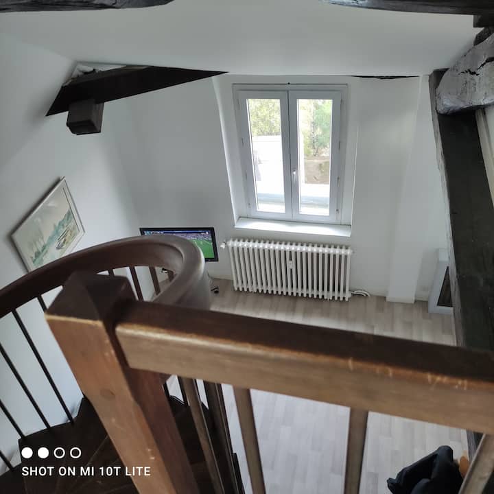 Superbe Duplex à 200m De La Gare D'angers - Angers