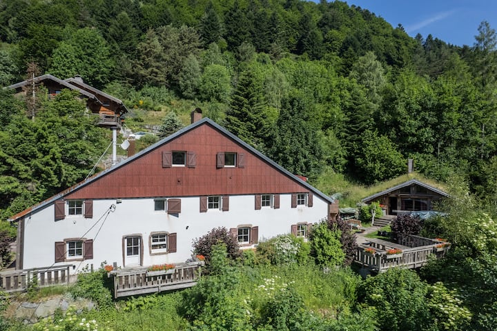 Ferme La Nolière 
Grand Standing 7 Chambres
7 Sdb - La Bresse