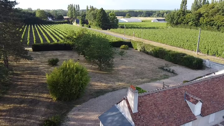 Maison Familiale Au Milieu Des Vignes-les Huards - Cheverny