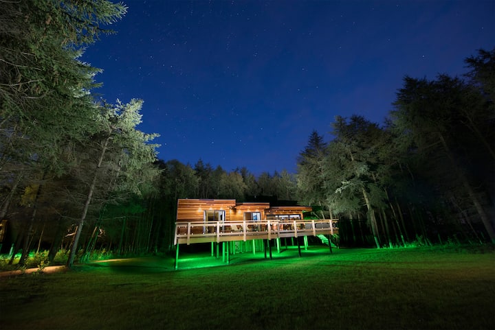 Studford Luxury Lodges - Badger Lodge - North Yorkshire
