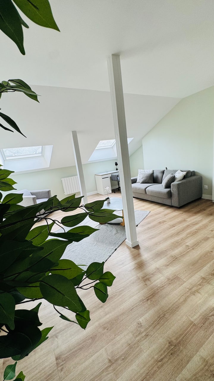 Le Baldi Limoges - Limoges