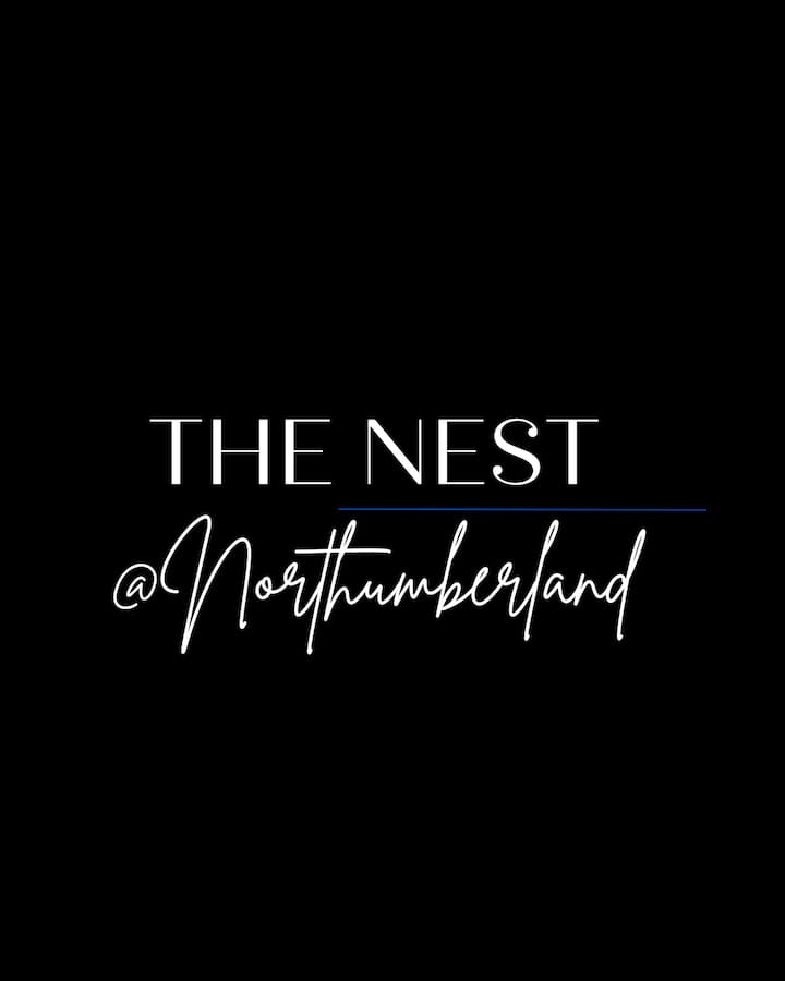 The Nest | King | 2 Br| Balcony | Near Everything! - Richmond, VA