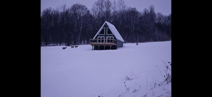 Cozy Country Cabin - Berkshire, NY