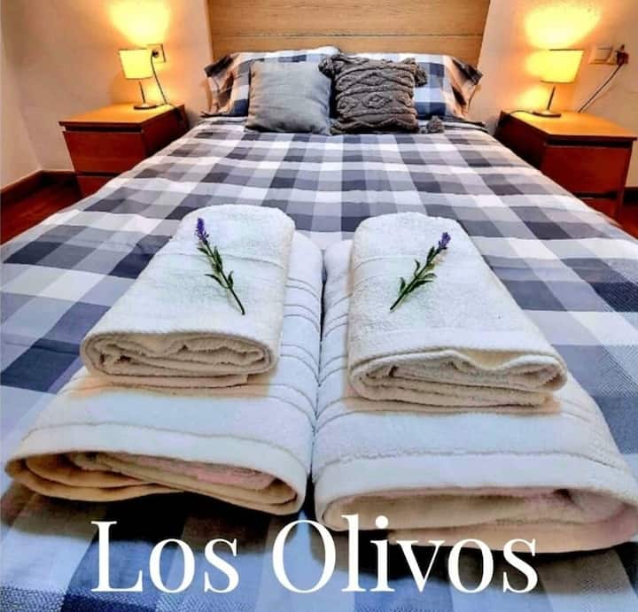 Apartamento Los Olivos Murcia - Molina de Segura