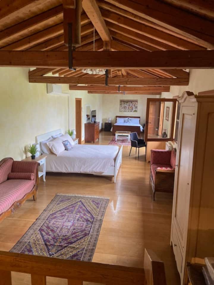 Dimora Storica - Casa Hemingway - San Donà di Piave