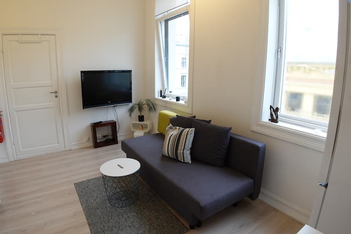 Super Central City Apartment - Oslo