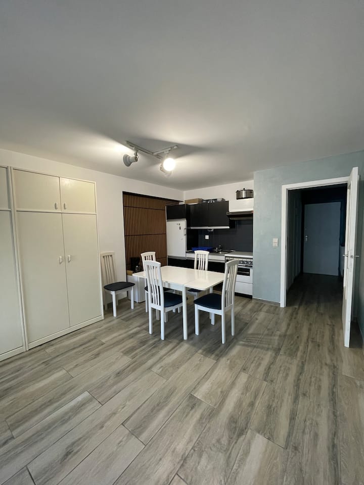 Studio Sur La Digue D'ostende, Zeedijk. - Ostend