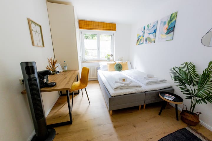 Cozy 1 Room Apartment In Top Location Passau! - Passau