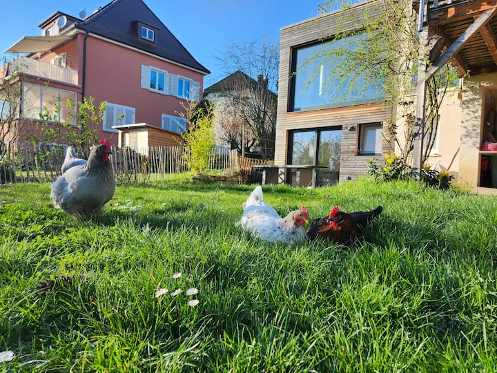 Helle Wohnung In Sehr Guter Lage - Heilbronn