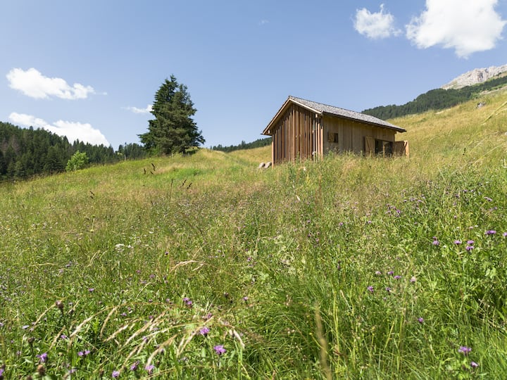 Be. Your Private View/ Dolomiti - Vigo di Fassa