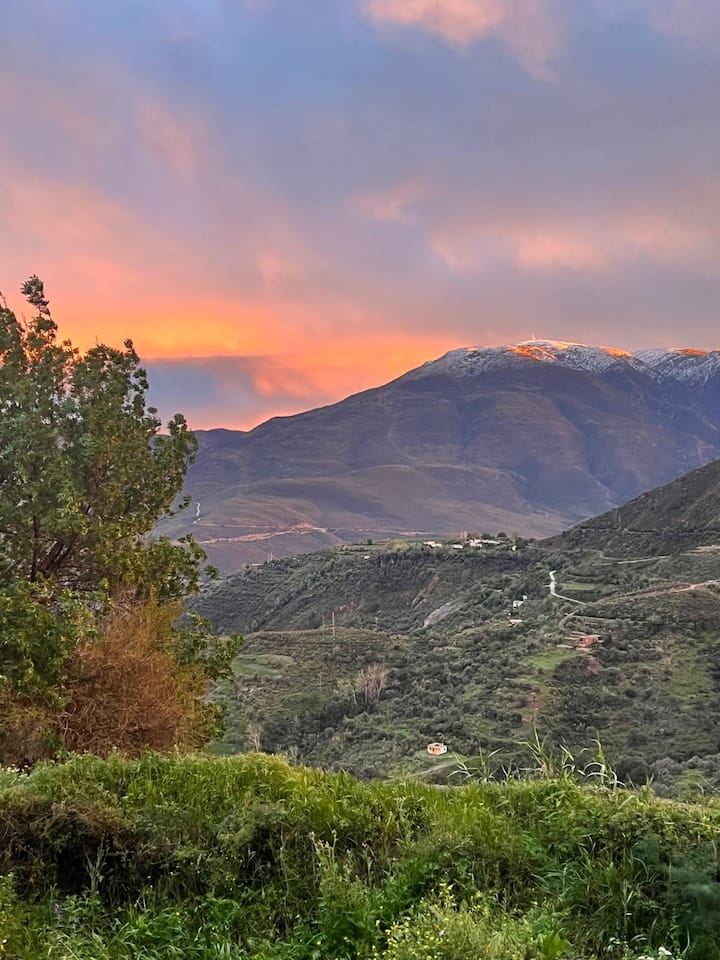 Casa Walhalla & Corti Jo Páramo - Pampaneira