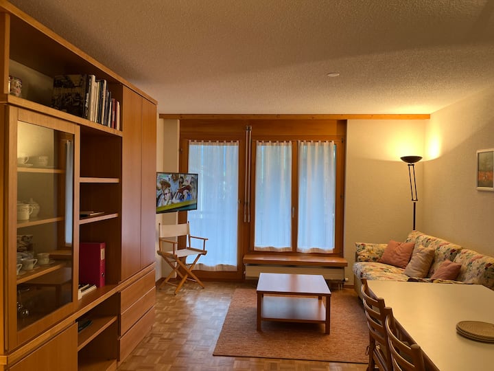 Ferienwohnung Reussblick - Andermatt