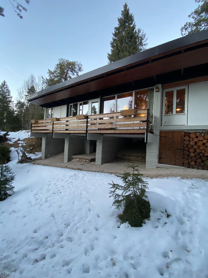 Chalet Immerso Nel Bosco - Borca di Cadore