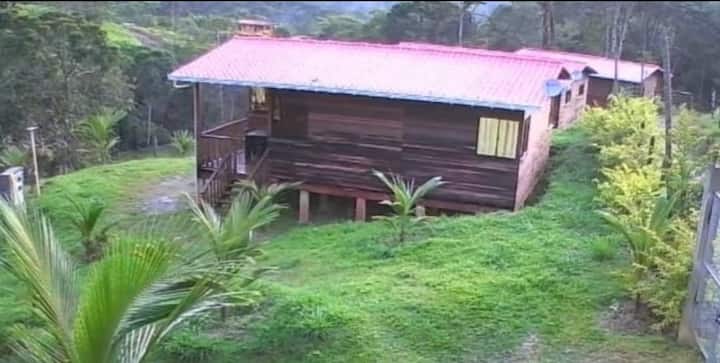 Cabaña De Descanso Convivencia Con La Naturaleza C - San Carlos, Colombia
