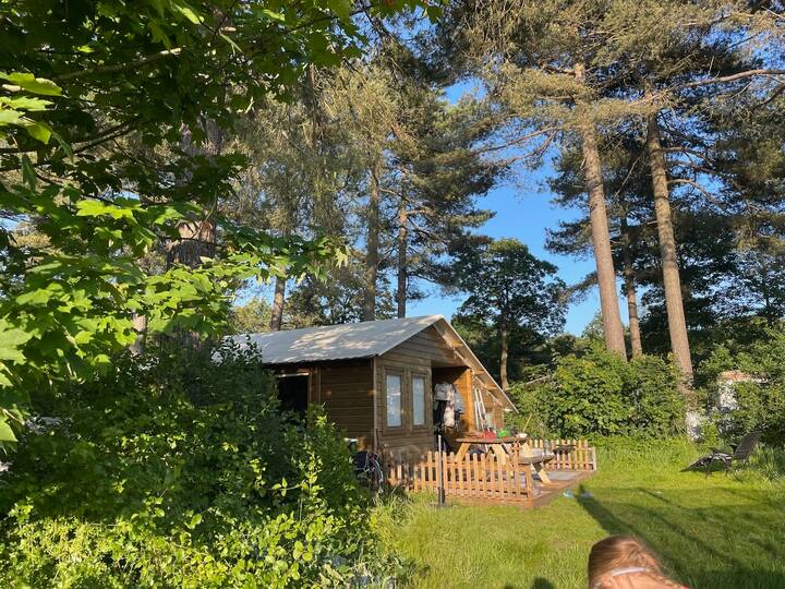 Glamping Cabin In The Pine Woods - Egmond aan Zee