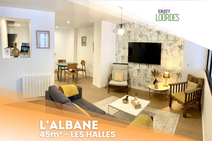 L’albane-hyper Centre-halles De Lourdes-45 M² - Lourdes
