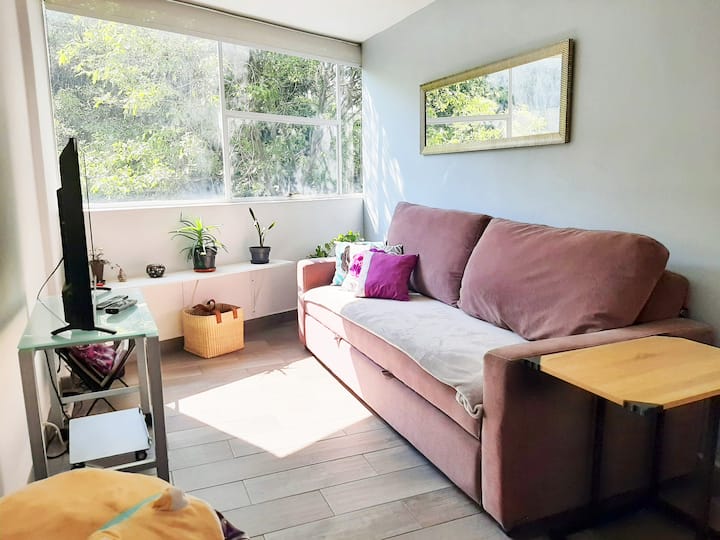 Bright Apartment In La Condesa - Baja California