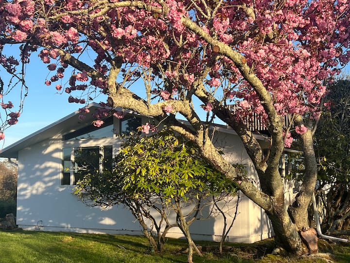 Beach House - Montauk, NY