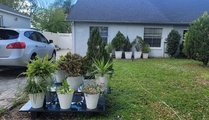 Apartment Near The Airport. - Orlando, FL