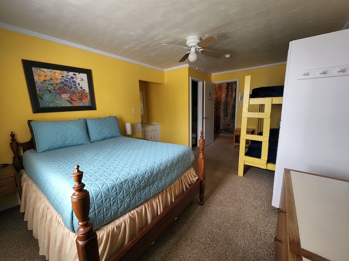 Pet Friendly Room With Private Bathroom - Leadville, CO