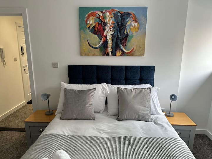 Cosy Executive City Apartment 3 - Hull
