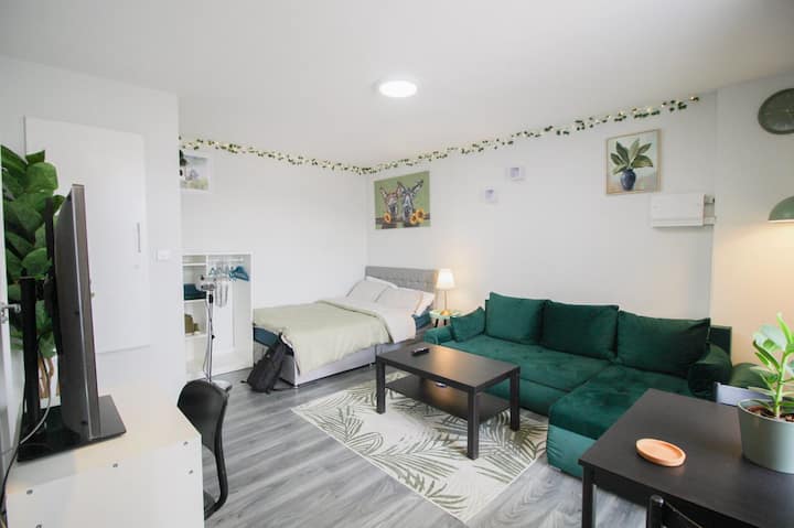 Serene Spacious Suite - 5 Minute Walk To Centre - Birmingham