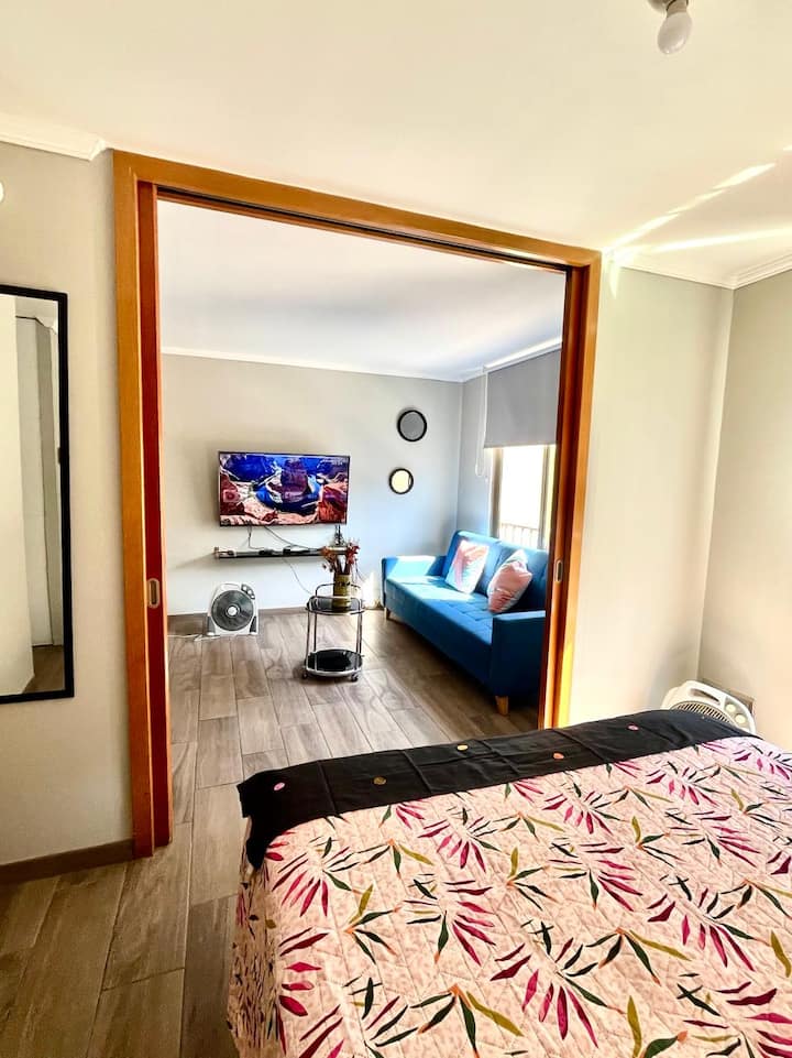 Exclusivo Dpto En Lastarria (318) - Santiago, Chile