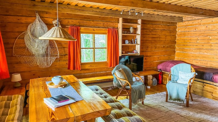 Well Equipped Cottage In Puumala At Lake Saimaa - Etelä-Karjala