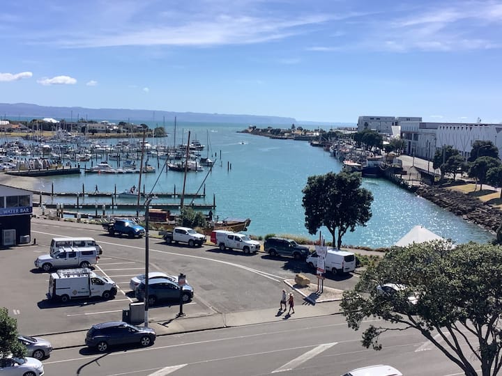 Seaview Apartment - ネーピア