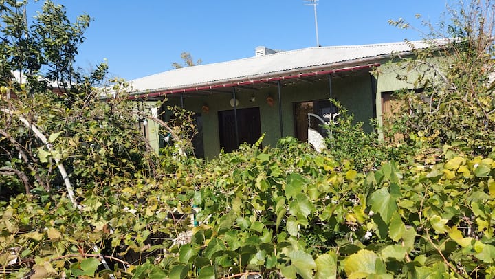 Eleven Kutaisi-authentic Boutique Stay In Kutaisi - Kutaisi