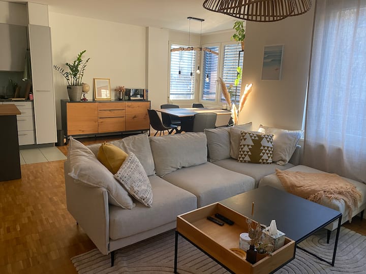 2.5 Zi-wohnung Nahe Des Rheins - Basel
