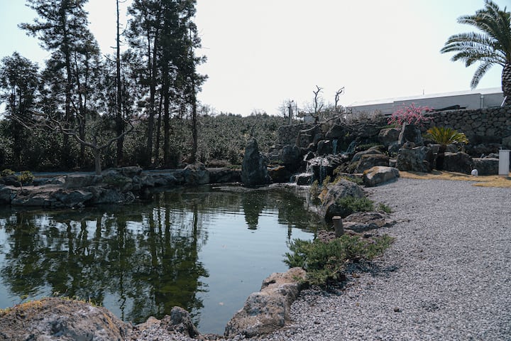 만다리노펜션 - Jeju