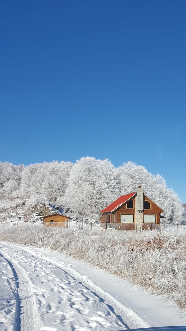 Οξυγόνο Wooden House 3-5 Πηγάδια - Науса