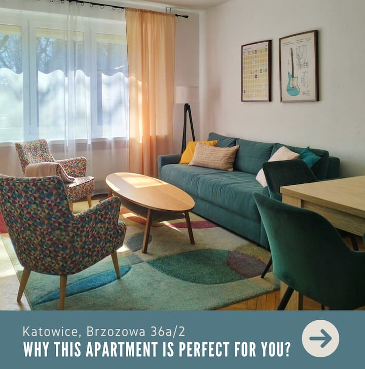 Apartament Brzozowa - Katowice