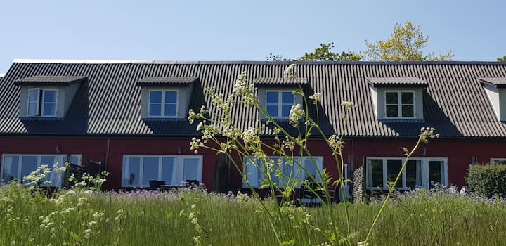 Lejlighed Til 6 P Med Havudsigt - Bornholm