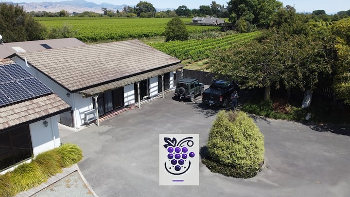 Arnisdale Accomodation - The Grape Escape - Blenheim