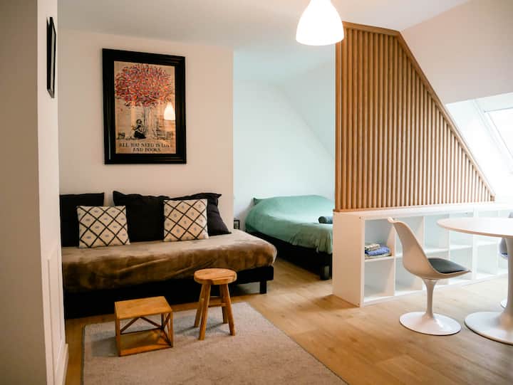 Le Forestier - Garage - Proche Beffroi - Douai