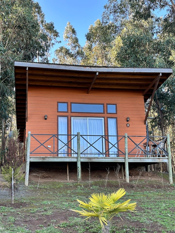 Cabaña N°3 - Angol