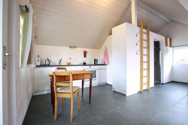 Studio, Airport/flughafen Zuerich, Pink Hibiskus - Kloten