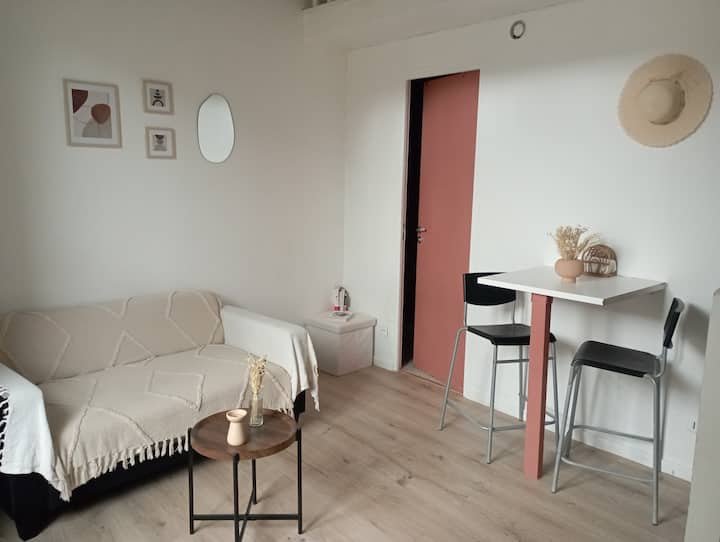 Studio Avec Mezzanine - Castres