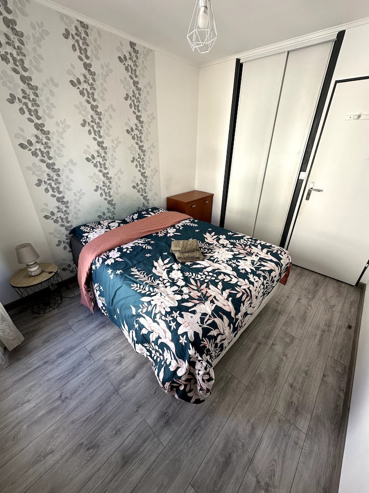 Coq 2. Chambre | Gare Annemasse - Annemasse