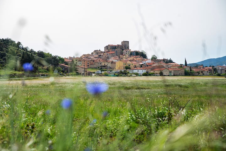 Maison Pure Canigou - Ille-sur-Têt