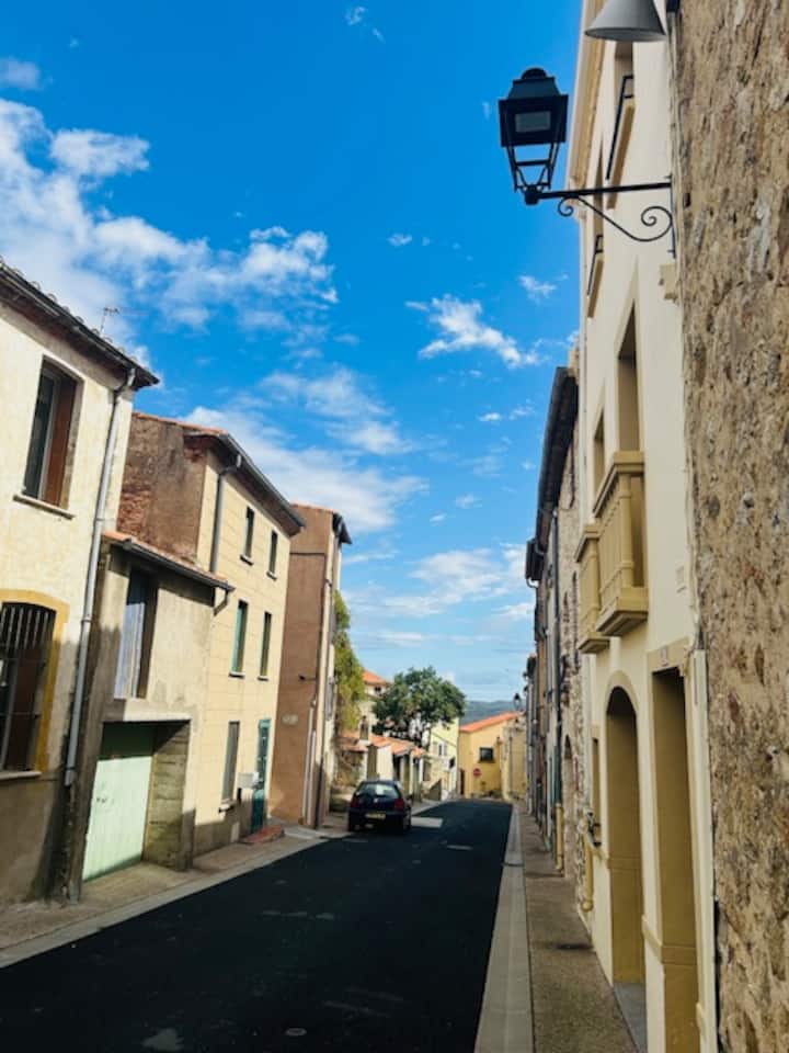 Maison Pure Canigou - Ille-sur-Têt