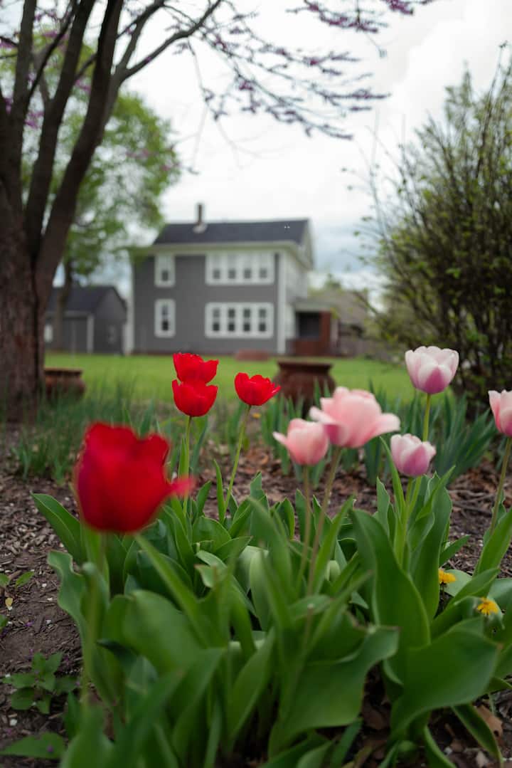 2 Cozy & Stylish Queen Beds In Fort Wayne - Fort Wayne, IN