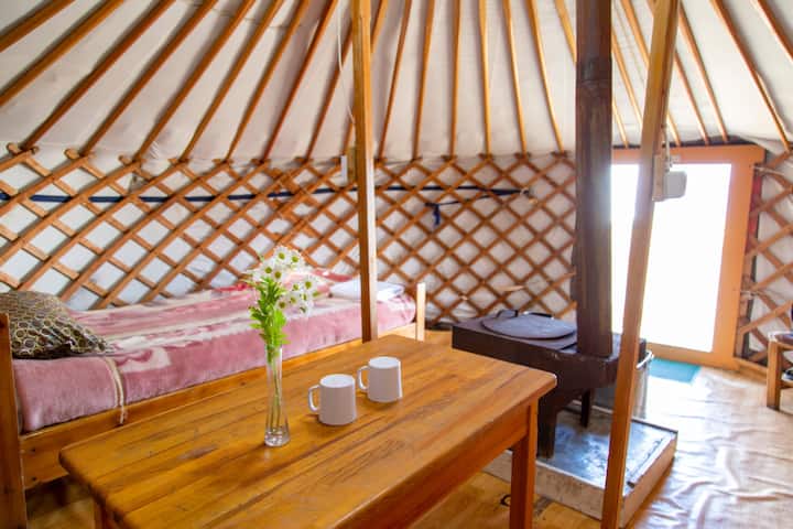 Steppe Horse Camp - Mongolia